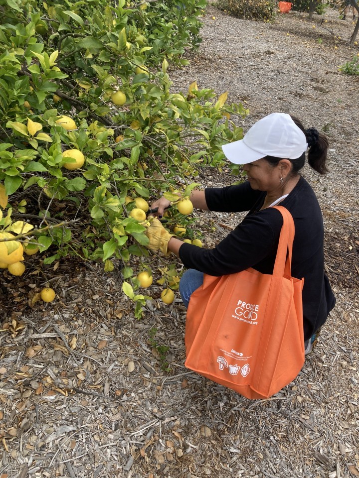 ASCM San Diego Chapter - Photo Gallery